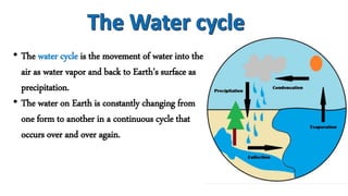 water cycle presentation.pptx