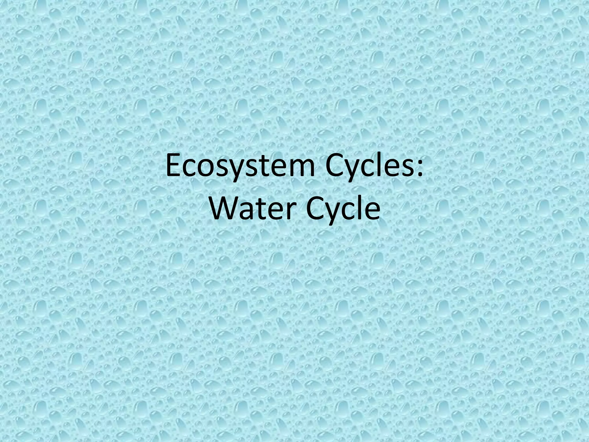 Water Cycle Question Slideshow.pdf