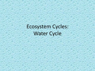 Water Cycle Question Slideshow.pdf