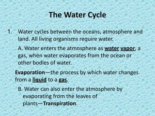Water Cycle Question Slideshow.pdf