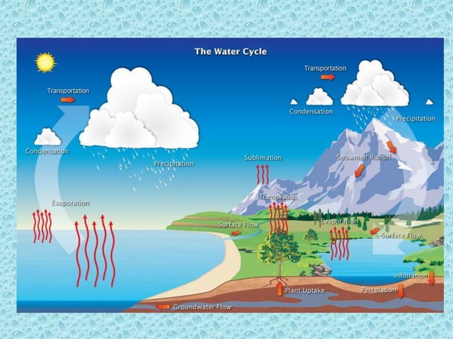 Water Cycle Question Slideshow.pdf