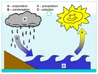 Water cycle review | PPTX | Chemistry | Science