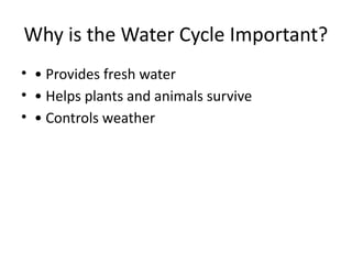 Understanding the Water Cycle: Stages and Importance Explained | PPTX
