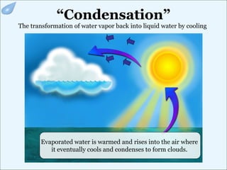 Water Cycle_Vince.pdf | Weather | Science