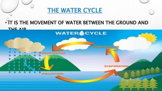Water cycle G2 | PPTX