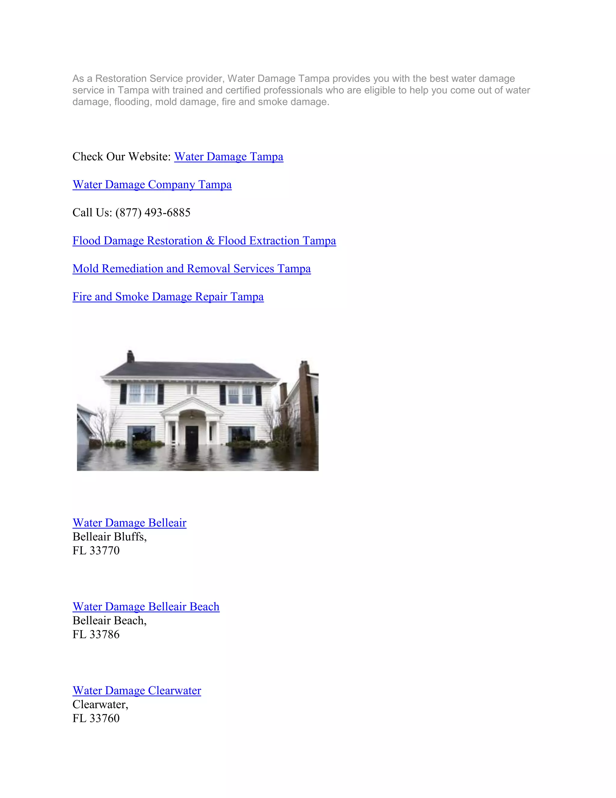 Water damage tampa | PDF