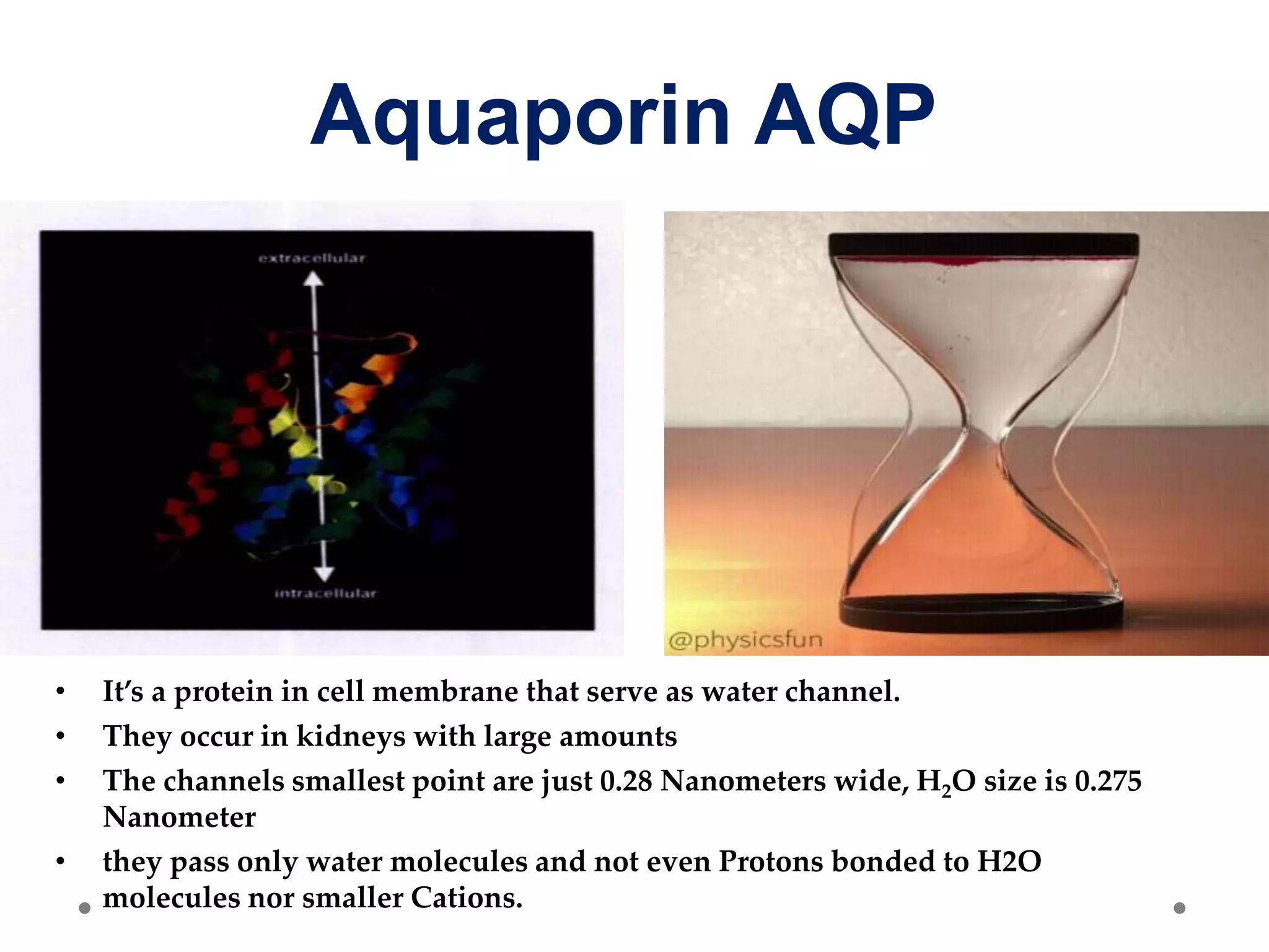 Water deasalination and use of carbon nano tubes | PPTX