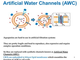 Water deasalination and use of carbon nano tubes | PPTX