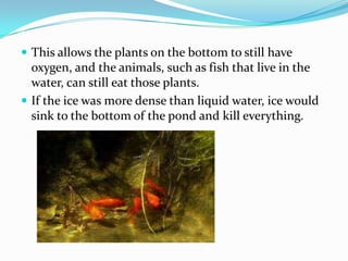 Water density | PPTX