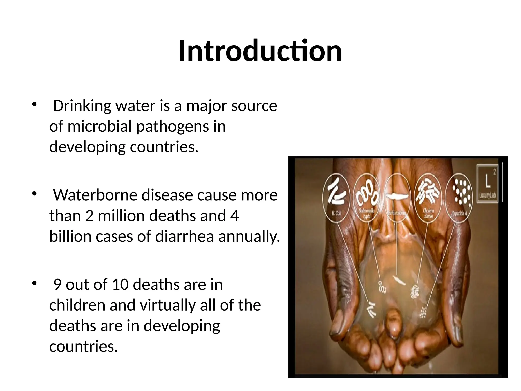 Water Diseases and their prevention.pptx