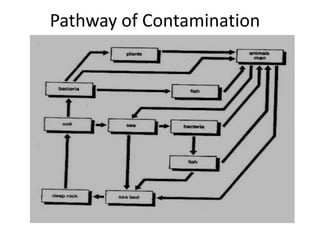 Waterdiseases5678905 | PPTX | Infectious Diseases | Diseases and Conditions