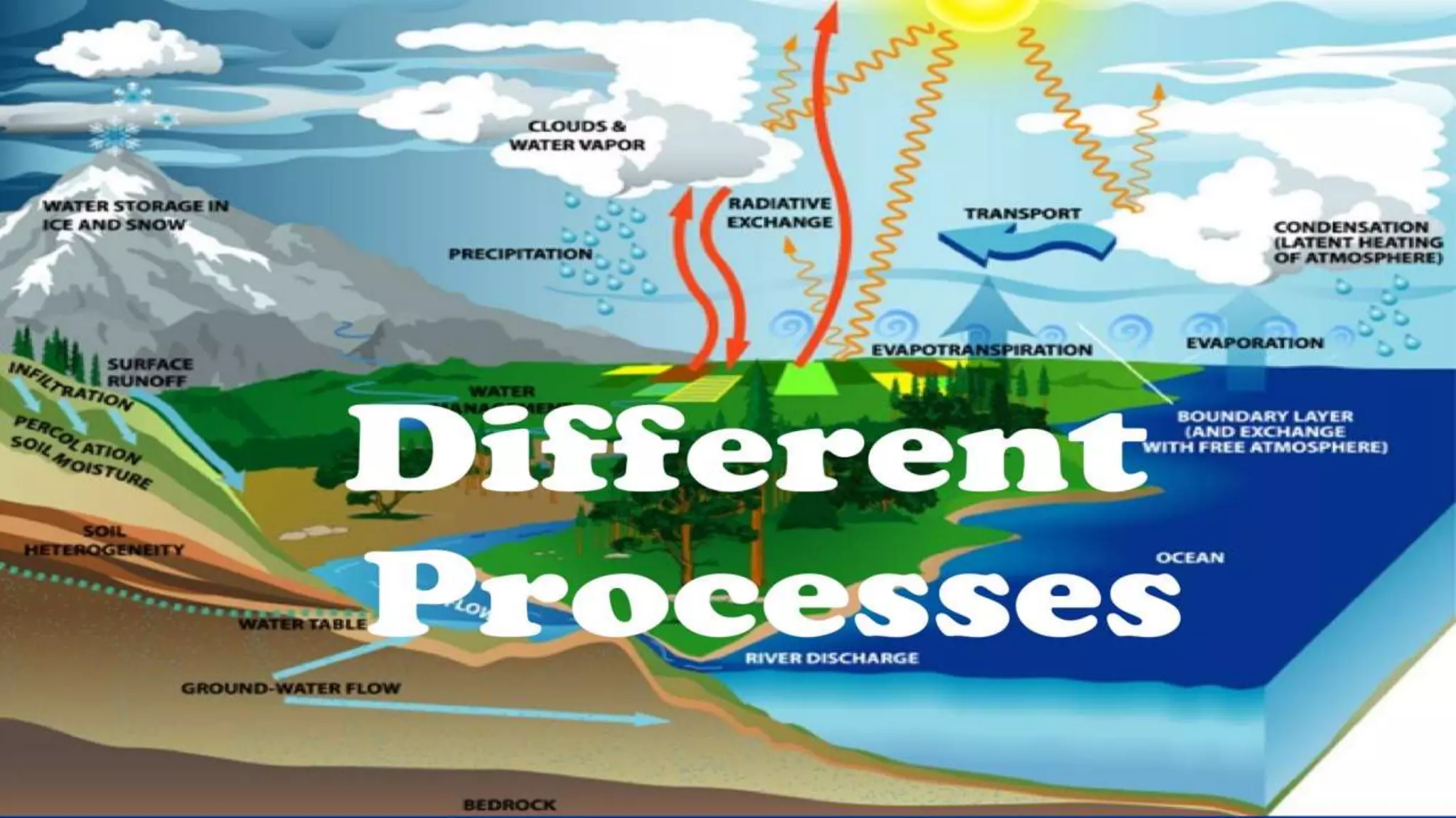 Water distribution on earth | PPTX