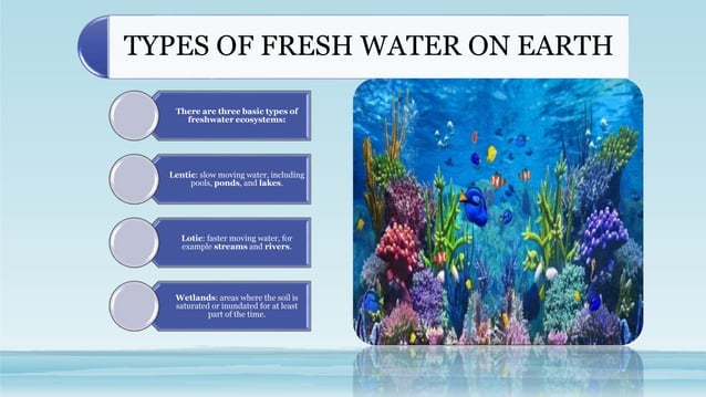Water distribution on earth | PPTX | Geology | Science