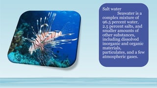 Water distribution on earth | PPTX