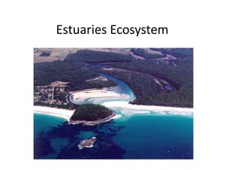 Water ecosystem | PPTX