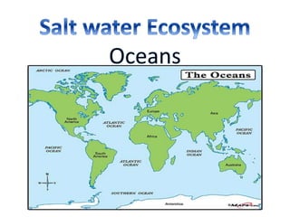 Water ecosystem | PPTX | Geography | Science