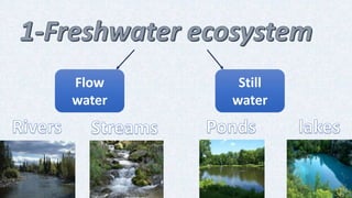 Water ecosystem | PPT