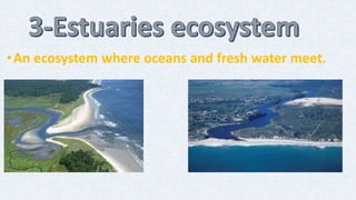 Water ecosystem | PPT