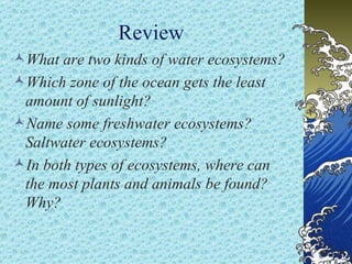 Water ecosystems lcr | PPT