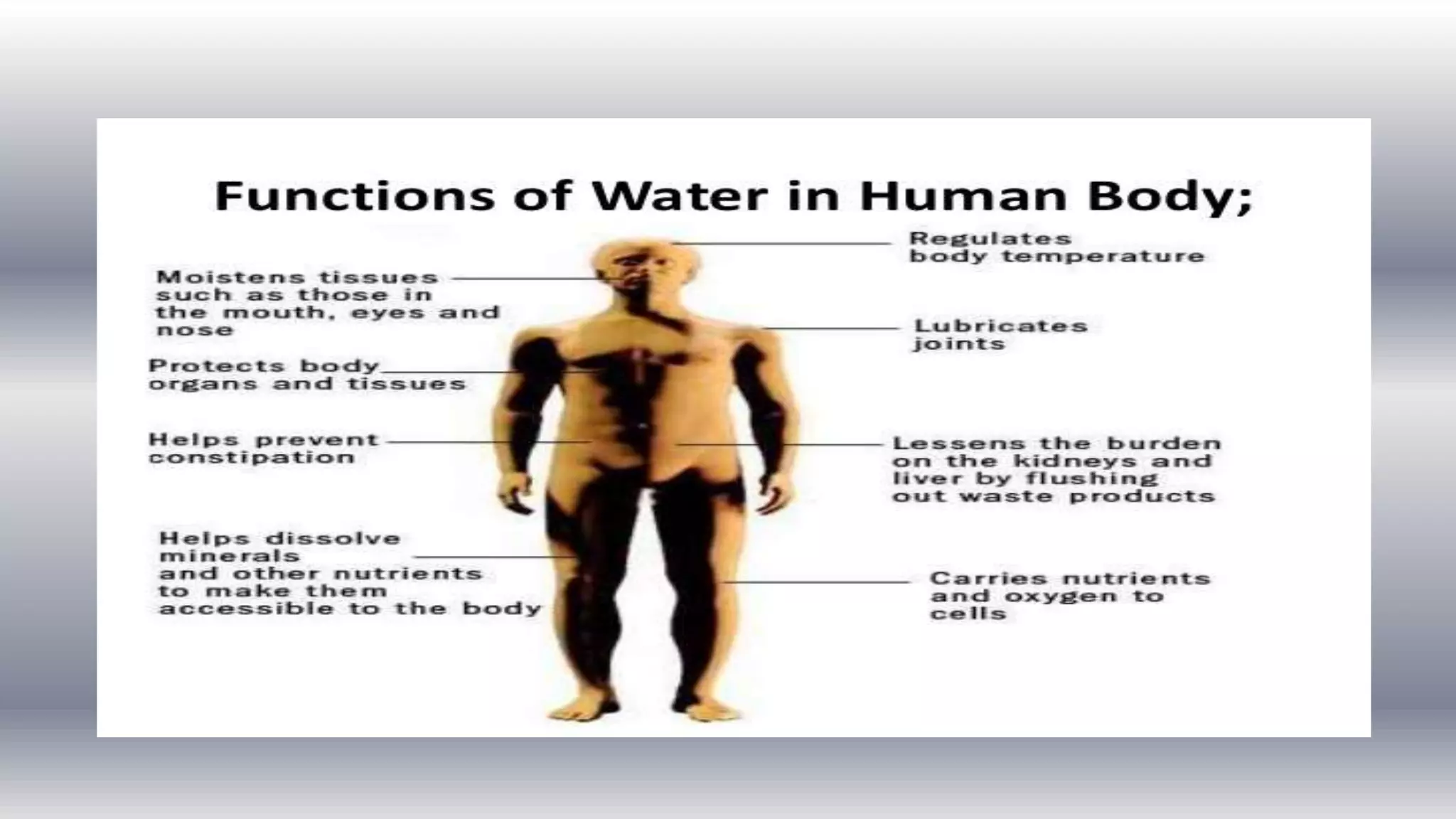 WATER AND ELECTROLYTE BALANCE | PPTX