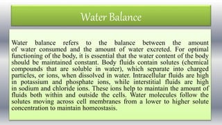 WATER AND ELECTROLYTE BALANCE | PPTX