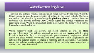 WATER AND ELECTROLYTE BALANCE | PPTX