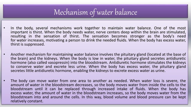 WATER AND ELECTROLYTE BALANCE | PPTX | Chemistry | Science
