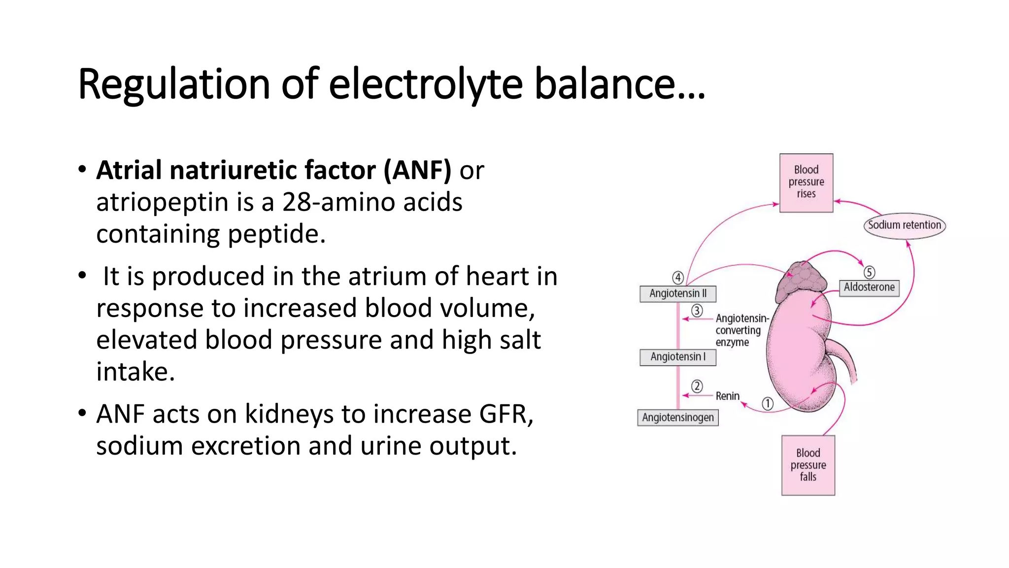 Water, Electrolyte and acid-base balance.pptx