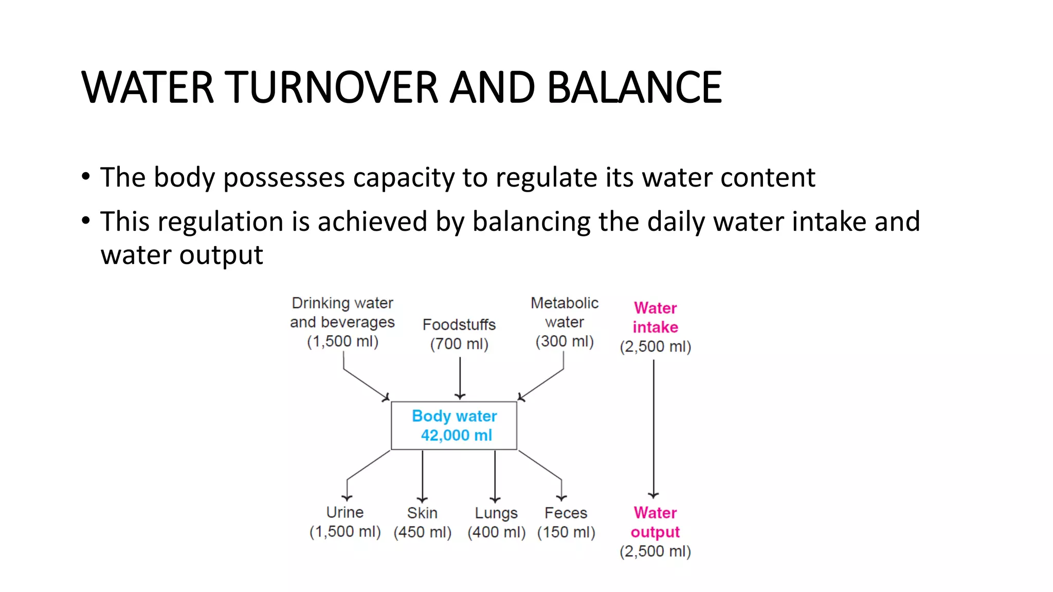 Water, Electrolyte and acid-base balance.pptx
