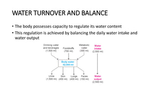 Water, Electrolyte and acid-base balance.pptx
