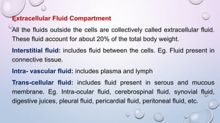 Water electrolyte and ph balance | PPTX