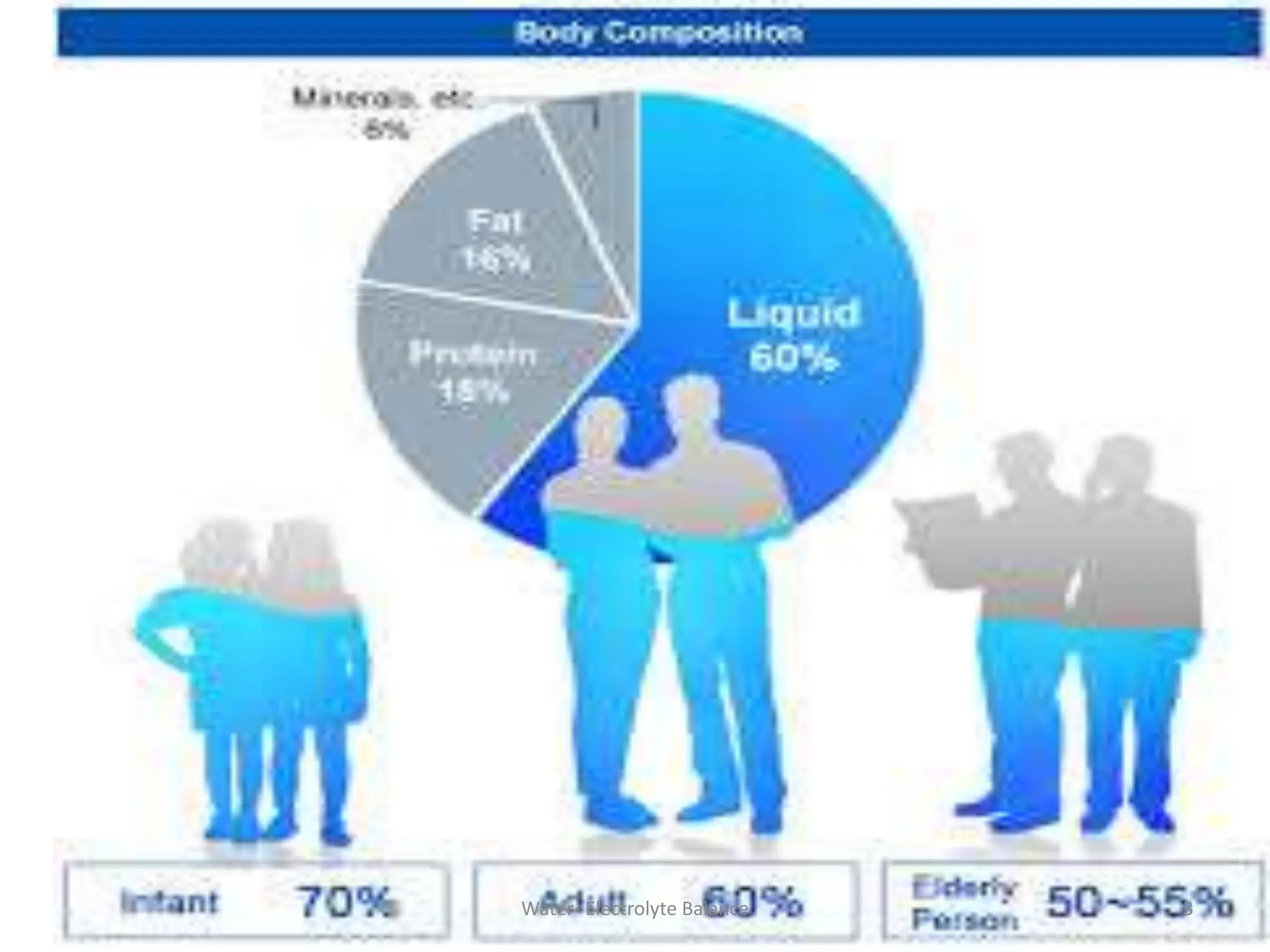 water electrolyte balance , homeostasis ppt | PPTX