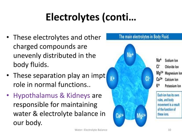water electrolyte balance , homeostasis ppt | PPTX