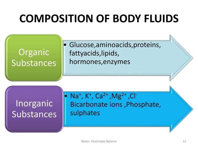 water electrolyte balance , homeostasis ppt | PPTX
