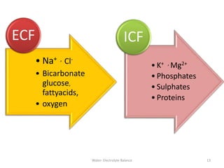 water electrolyte balance , homeostasis ppt | PPTX