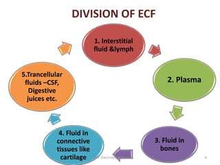 water electrolyte balance , homeostasis ppt | PPTX