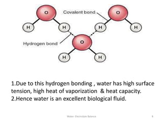 water electrolyte balance , homeostasis ppt | PPTX