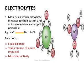 water electrolyte balance , homeostasis ppt | PPTX