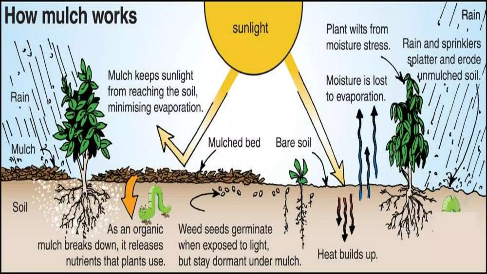 Water erosion control measures | PPT