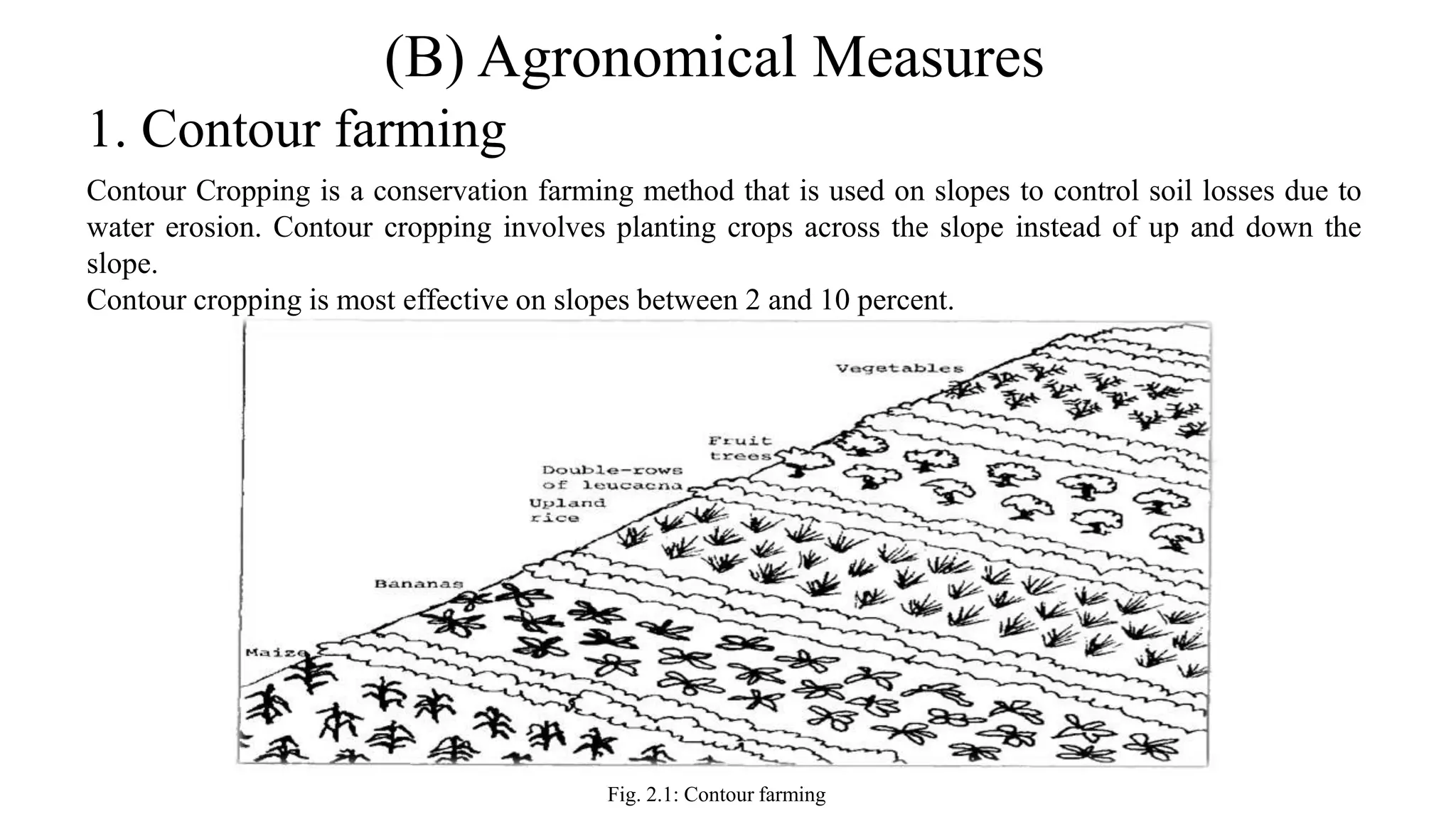 Water erosion control measures | PPT