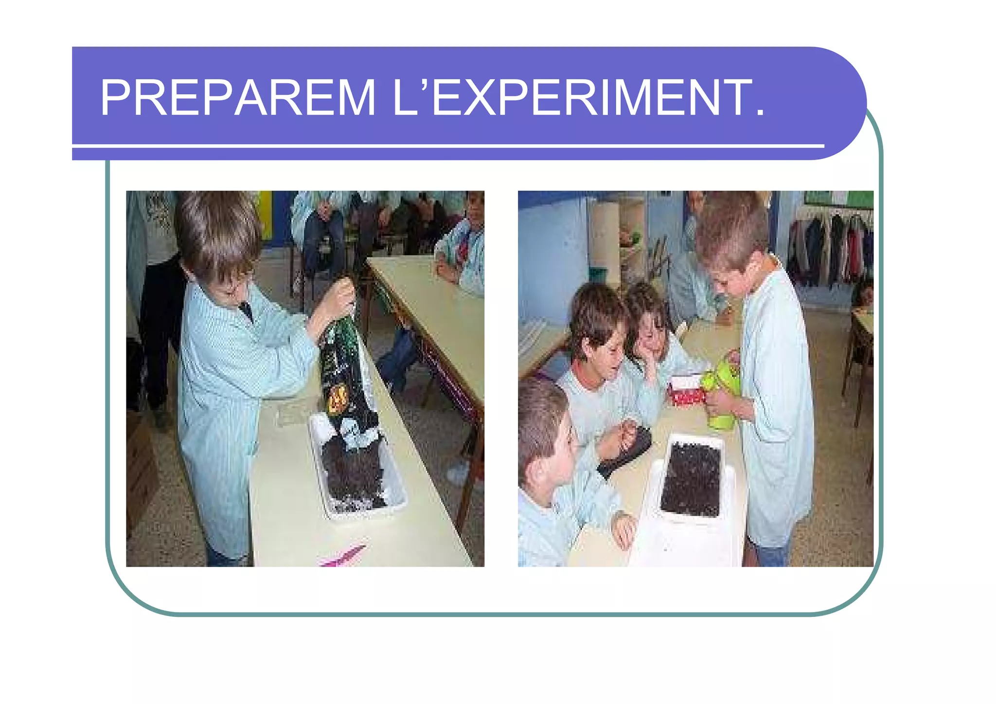Water Experiments | PPT