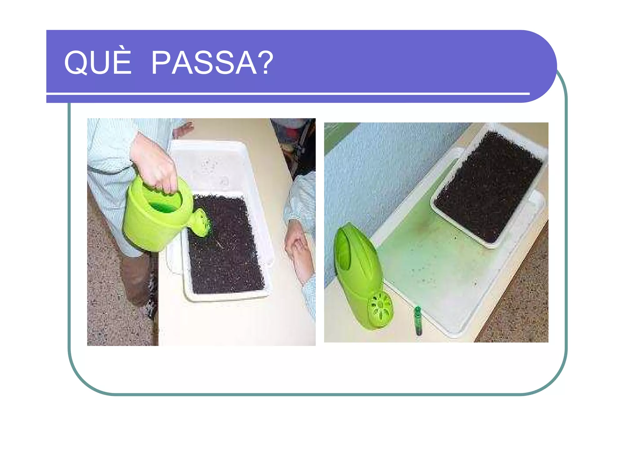 Water Experiments | PPT