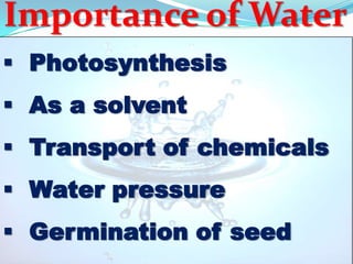 Water factor | PPTX