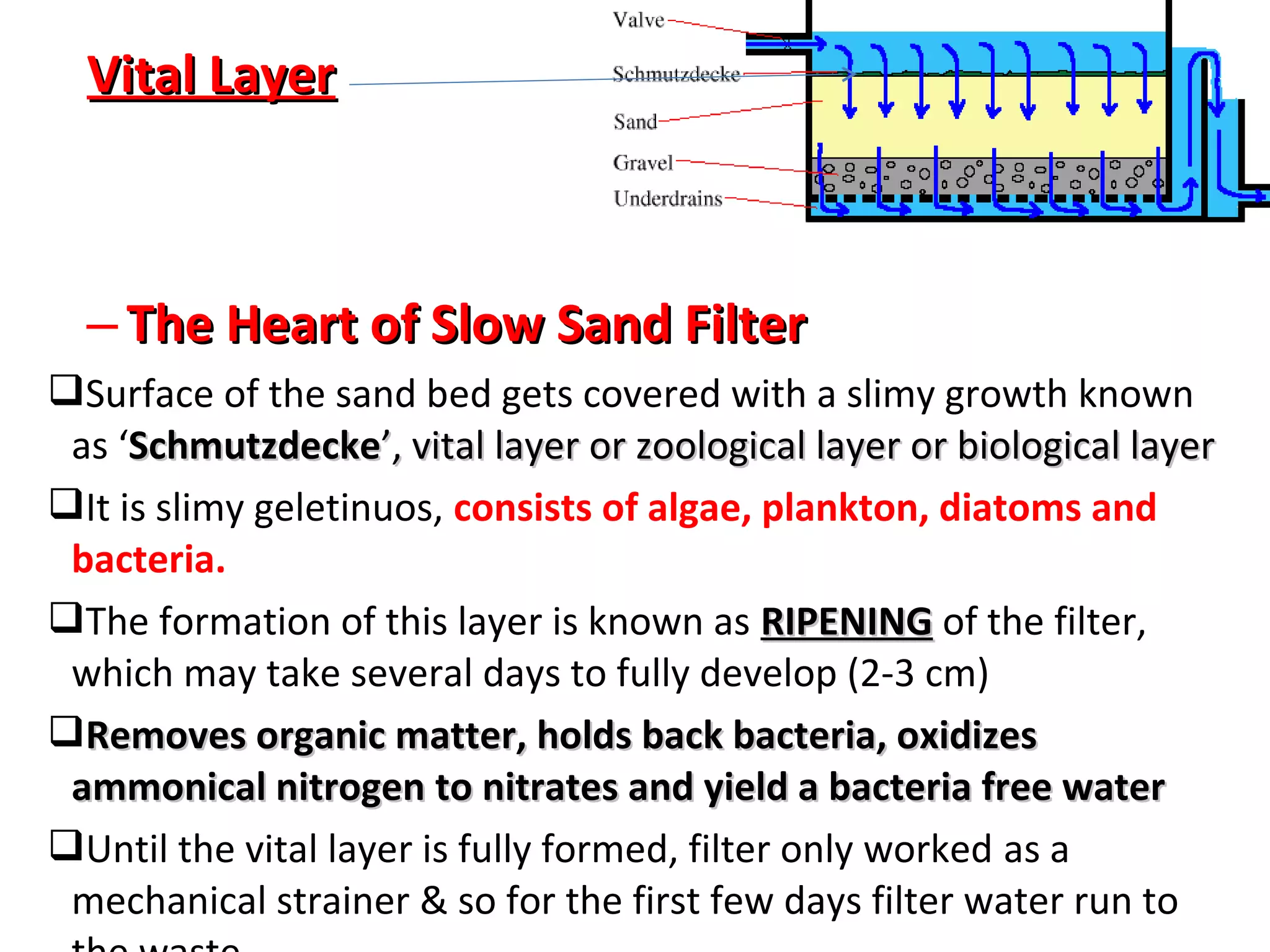 Water filtration plant | PPT