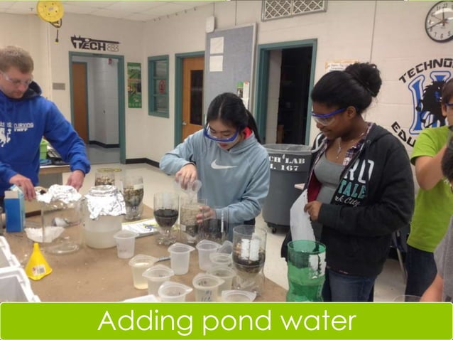 Water Filtration System Project | PPTX | Technology & Computing