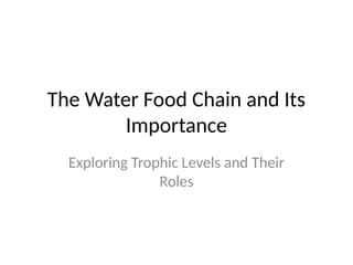 Water Food Chain aquatic Presentation.pptx