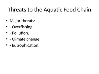 Water Food Chain aquatic Presentation.pptx
