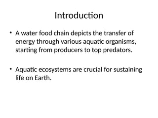 Water Food Chain aquatic Presentation.pptx