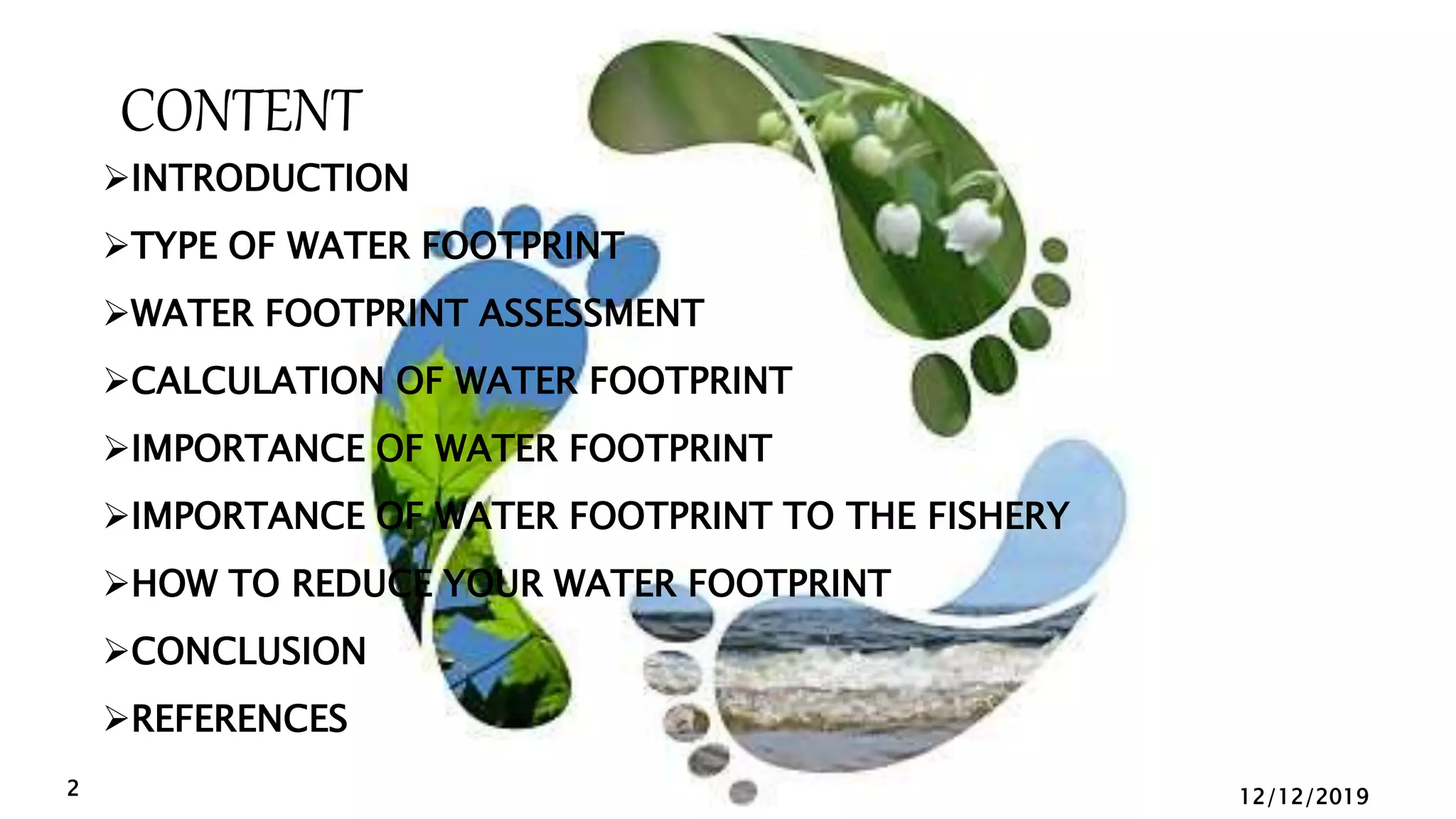 Water footprint | PPTX
