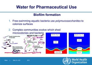 Water fo pharma use Understanding Purified Water for Pharmaceutical ...